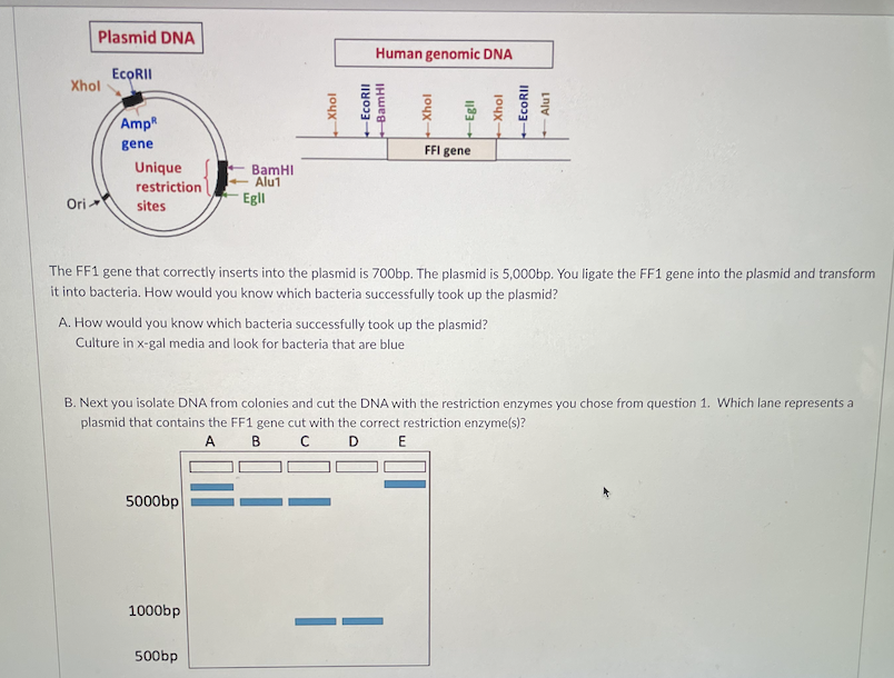 Solved Please answer A and B with explanation I will give a | Chegg.com