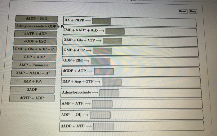 Reset Help dADP + H2O Adenylosuccinate+GDP-IMP + NAD+ | Chegg.com