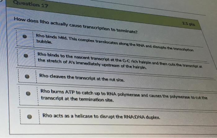 Solved Question 17 2.5 pts How daes Rho actually cause | Chegg.com