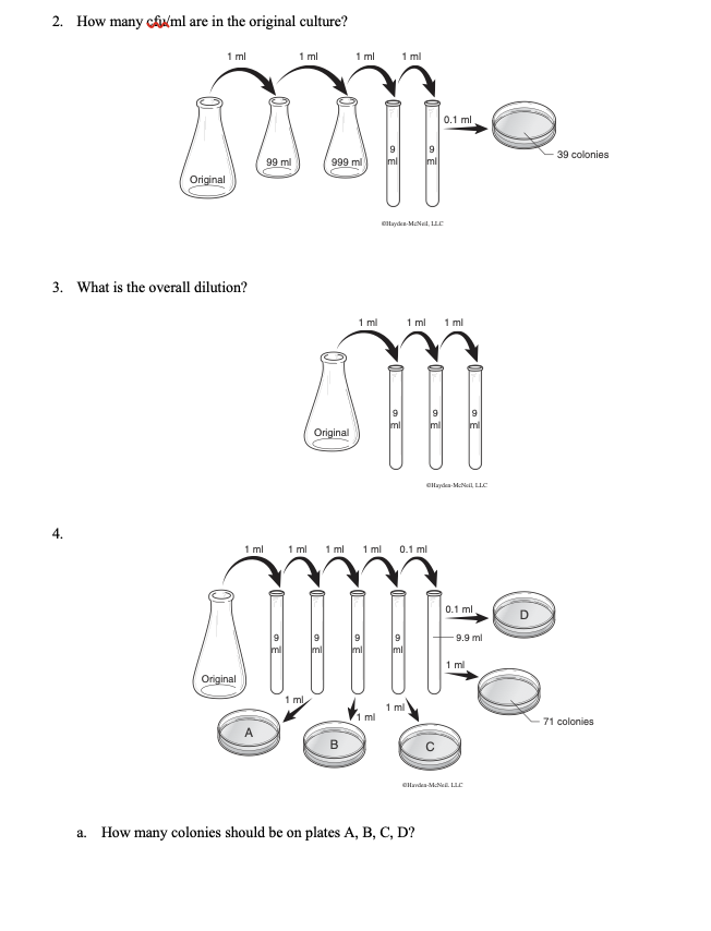 Solved b. What is the overall dilution on Plate D? c. How | Chegg.com