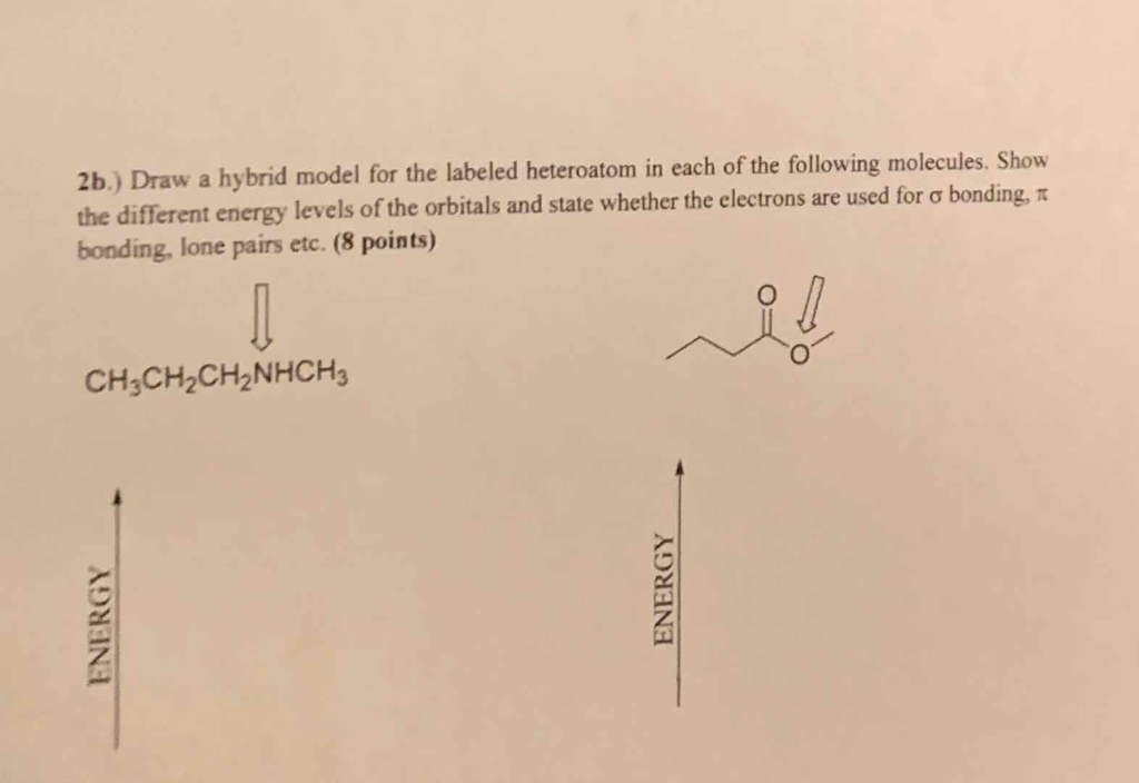 Solved 2b.) Draw a hybrid model for the labeled heteroatom | Chegg.com