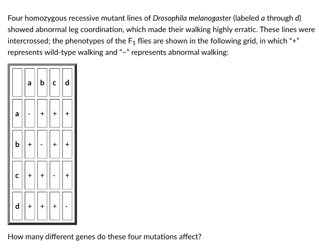 Four homozygous recessive mutant lines of Drosophila | Chegg.com