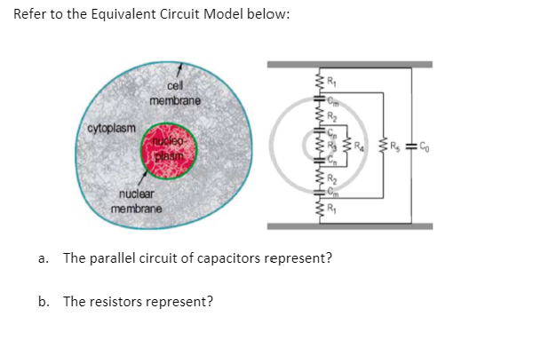 Solved Refer to the Equivalent Circuit Model below: cell | Chegg.com