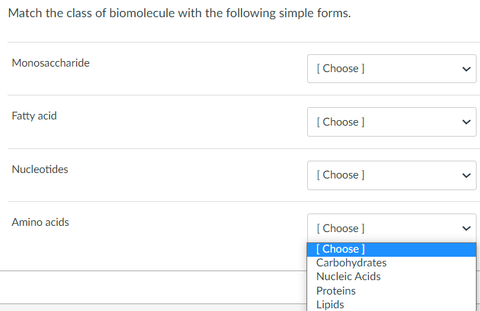 Solved Match the class of biomolecule with the following | Chegg.com