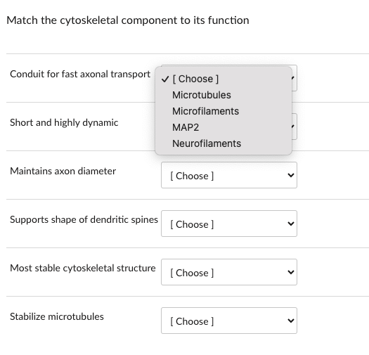 Solved Match the cytoskeletal component to its function | Chegg.com
