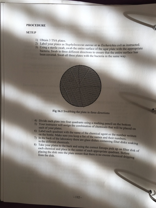 Solved 3) After observing the plates of other teams in the | Chegg.com