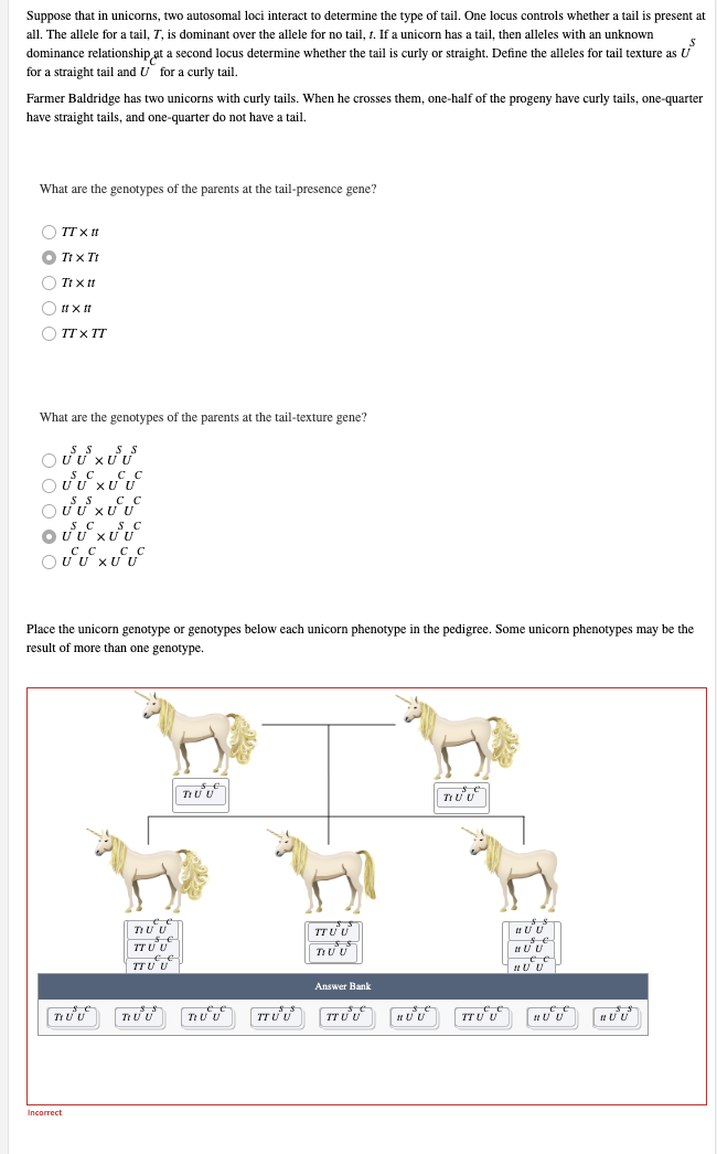 Solved Suppose that in unicorns, two autosomal loci interact | Chegg.com