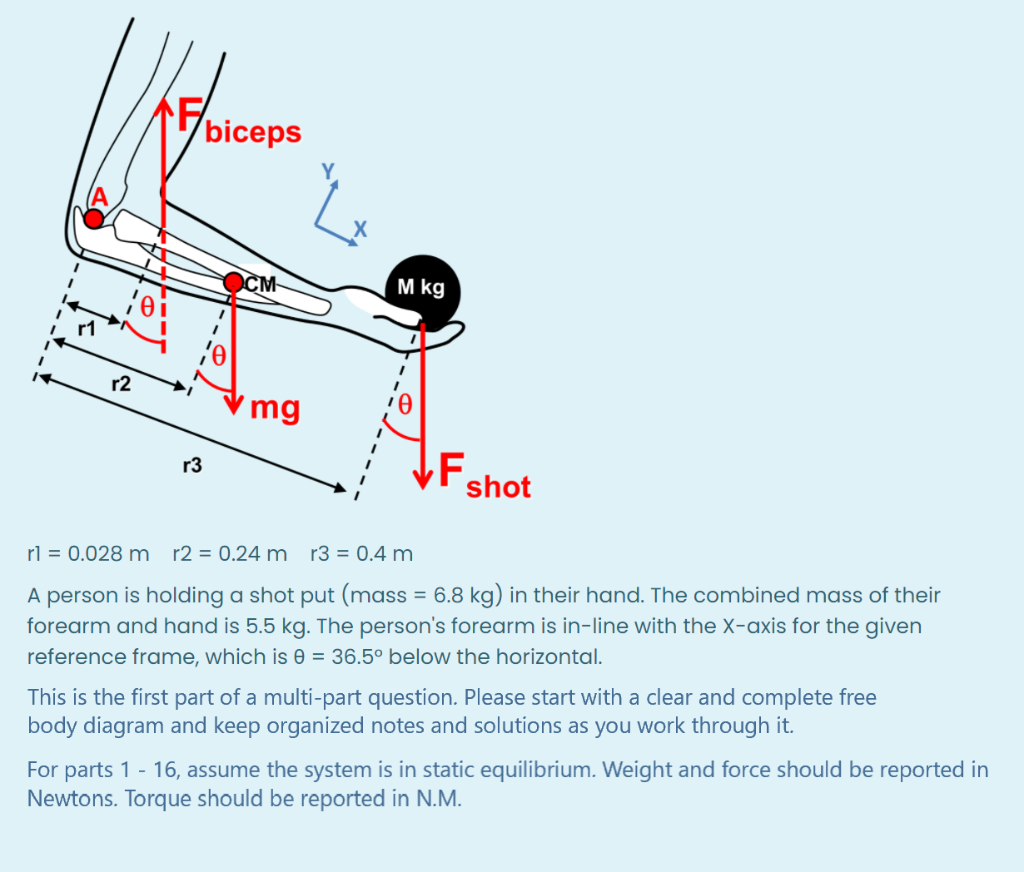 Solved Part 9. What is the sum of all the torques acting in | Chegg.com