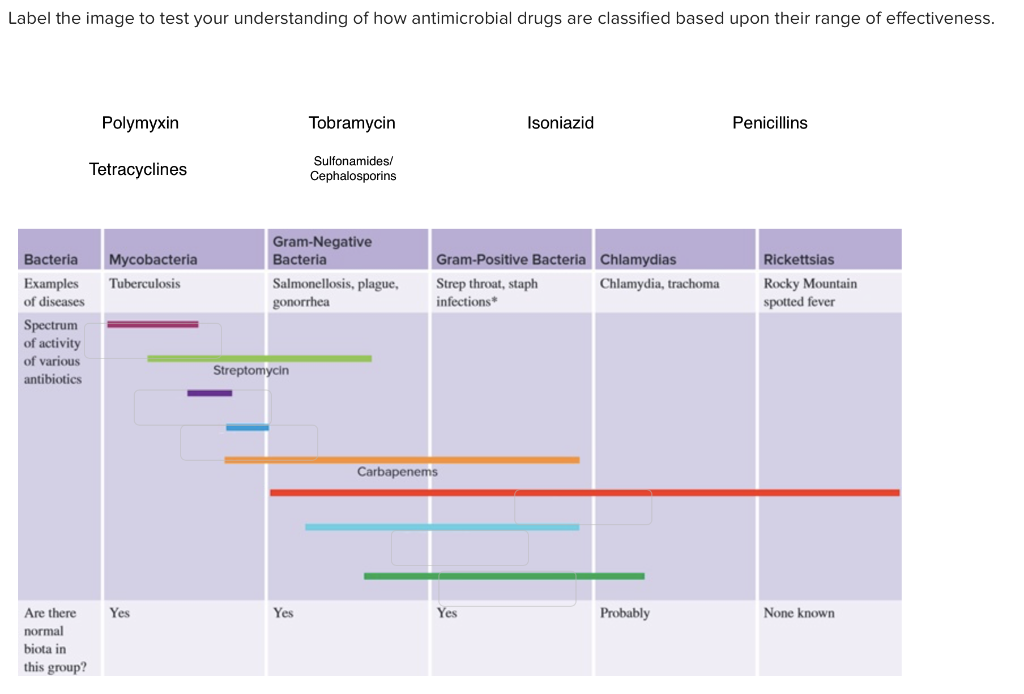Solved Label the image to test your understanding of how | Chegg.com