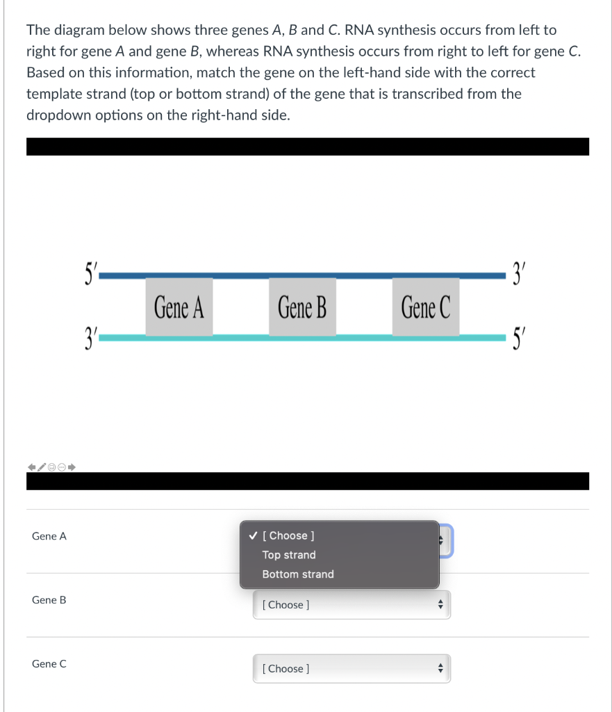 Solved The diagram below shows three genes A,B and C. RNA | Chegg.com