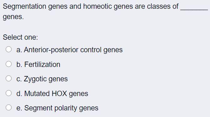 Solved Segmentation genes and homeotic genes are classes of | Chegg.com