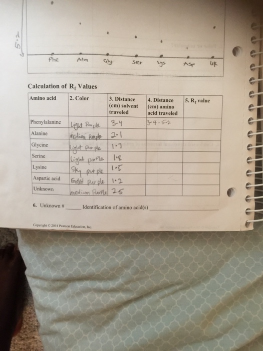Solved Ata Gy ser vos Calculation of Rf Values Amino acid 2. | Chegg.com