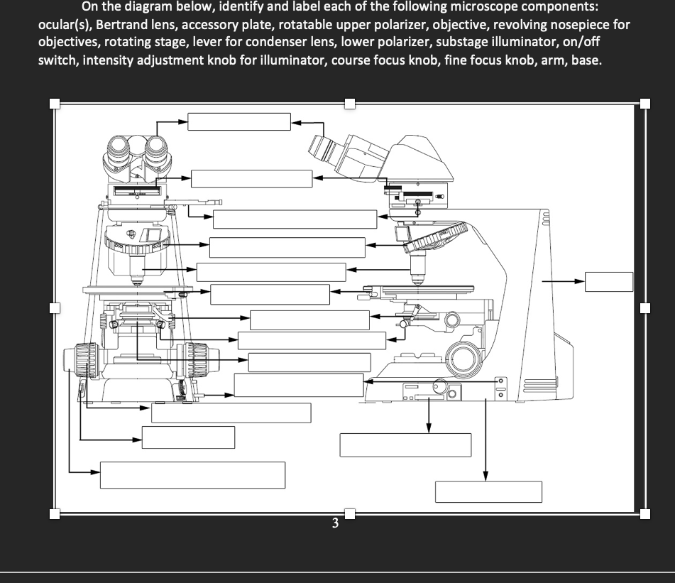 Solved On the diagram below, identify and label each of the | Chegg.com