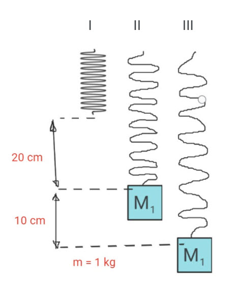 Solved A spring suspended at rest is shown in diagram | Chegg.com