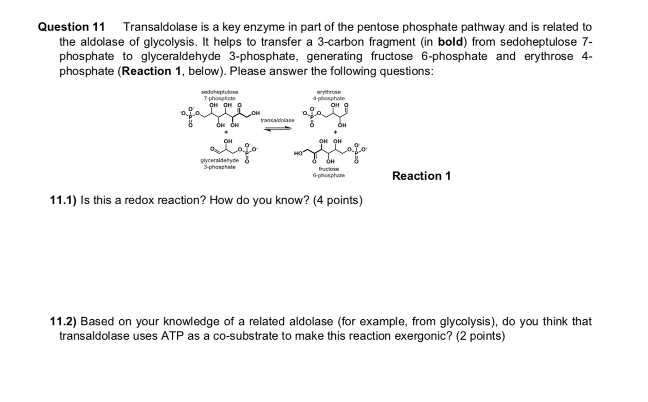Solved Question 11 Transaldolase is a key enzyme in part of | Chegg.com