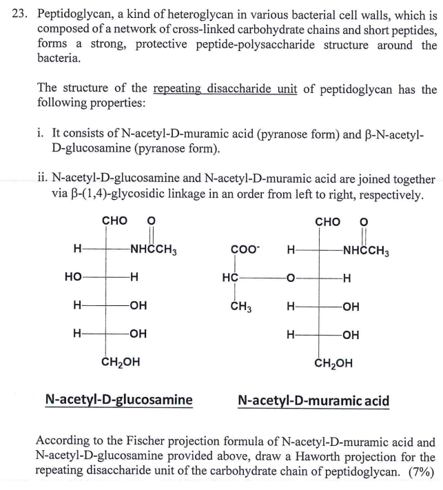 Solved 23. Peptidoglycan, a kind of heteroglycan in various | Chegg.com