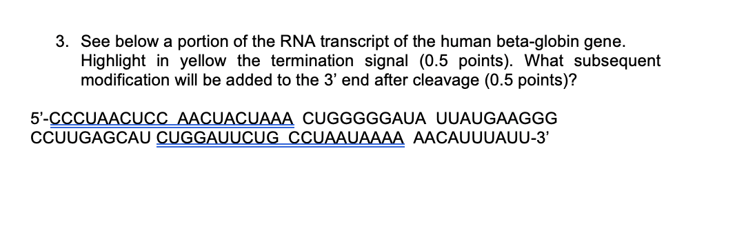 Solved 3. See below a portion of the RNA transcript of the | Chegg.com