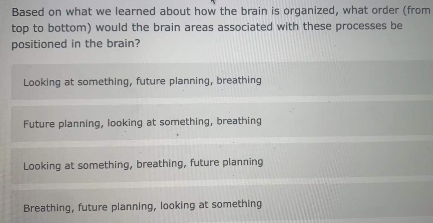 Solved Based on what we learned about how the brain is | Chegg.com