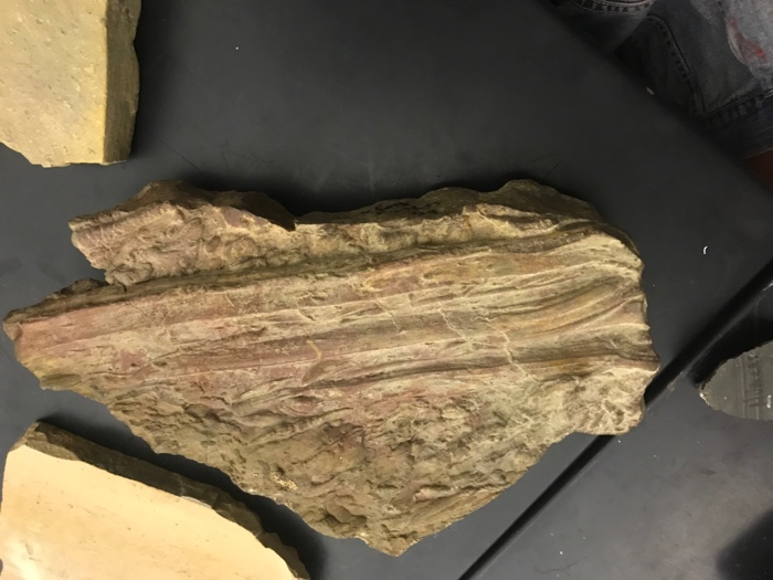Solved There are 3 turbidite samples, jackfork 05, jackfork | Chegg.com
