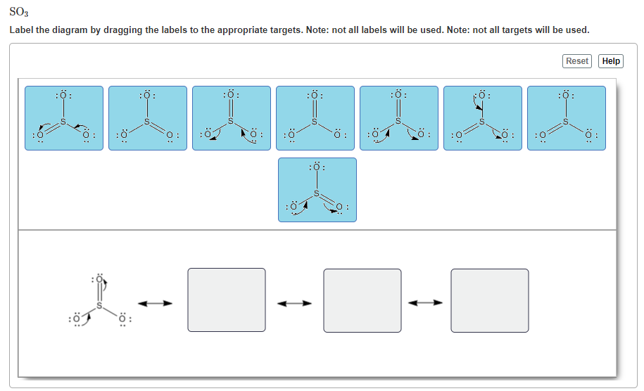 Solved HN3 Label the diagram by dragging the labels to the | Chegg.com