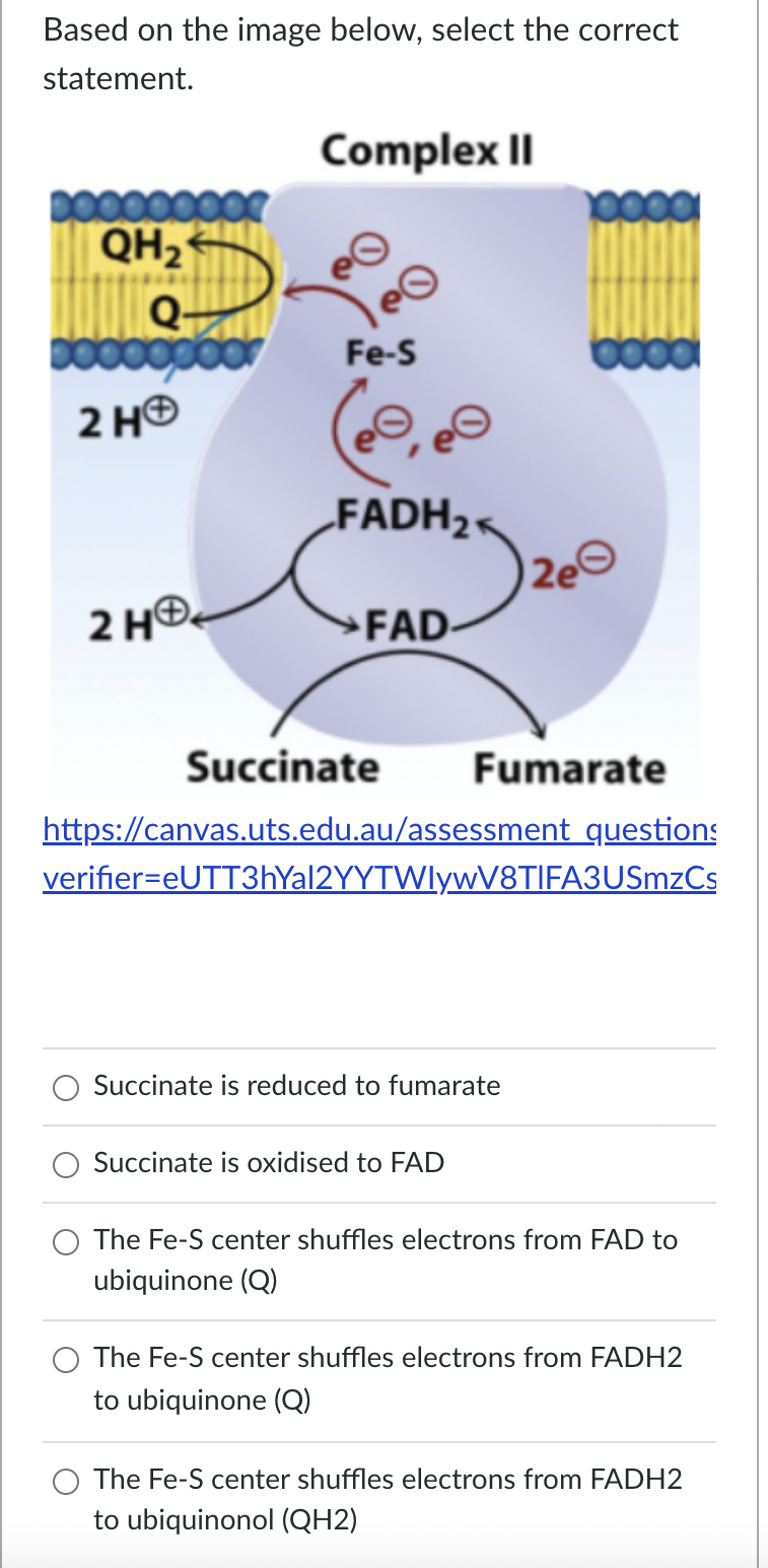Solved Based on the image below, select the correct | Chegg.com