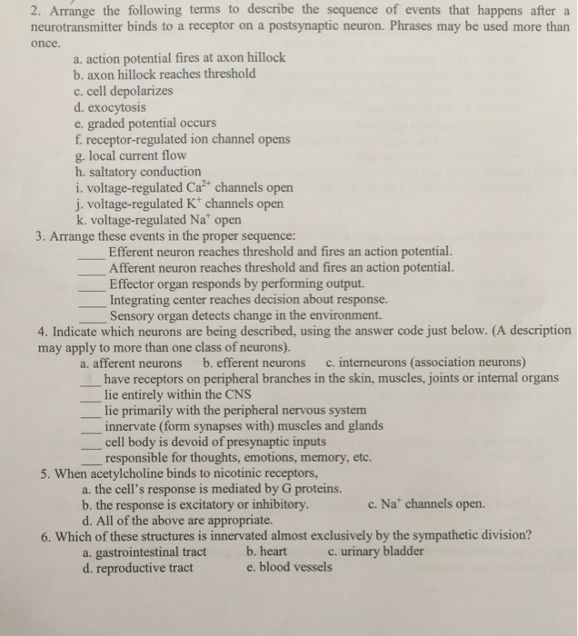 Solved Arrange the following terms to describe the sequence | Chegg.com