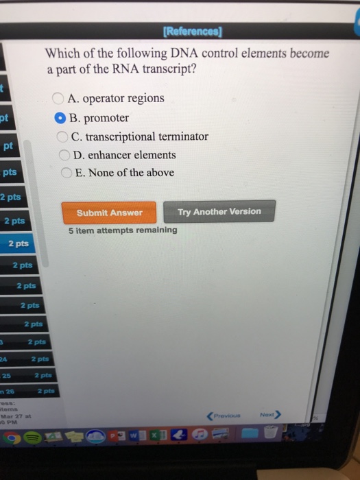 Solved Which of the following DNA control elements become a | Chegg.com