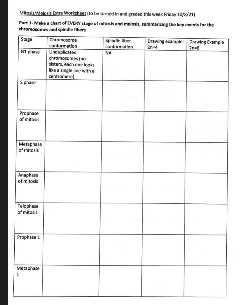 Mitosis/Meiosis Extra Worksheet (to be turned in and | Chegg.com