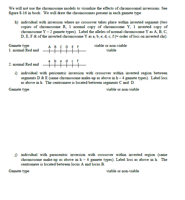 Solved 1. individual with inversion where no crossover takes | Chegg.com