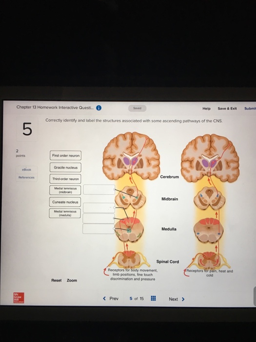 Solved Chapter 13 Homework Interactive Quest... Help Save & | Chegg.com Solved Chapter 13 Homework Interactive Quest... Help Save & | Chegg.com