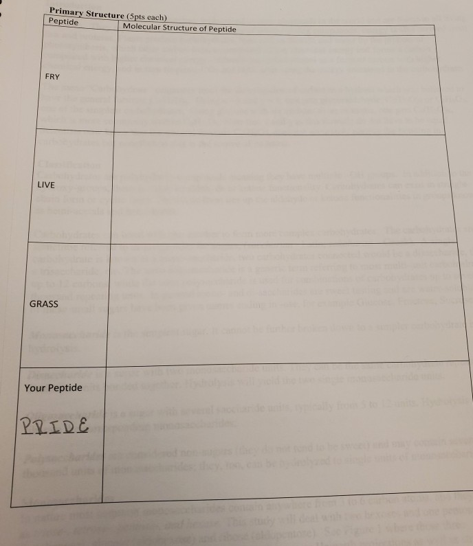 Solved Primary Structure (5pts each) Peptide Molecular | Chegg.com