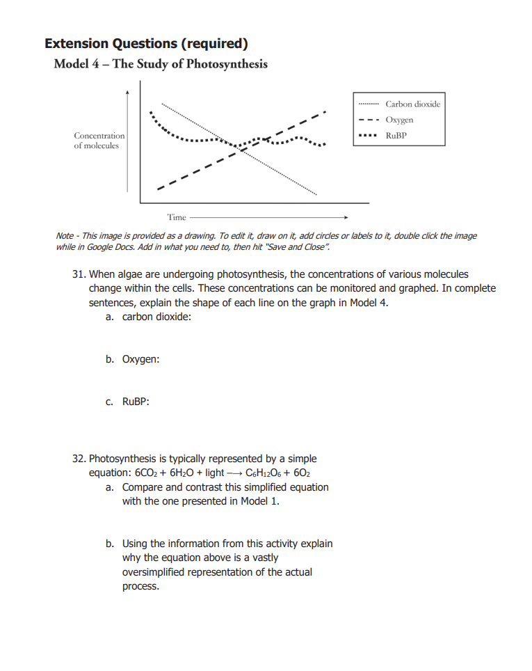 Solved Name: BI0181 Worksheet: Photosynthesis How do | Chegg.com