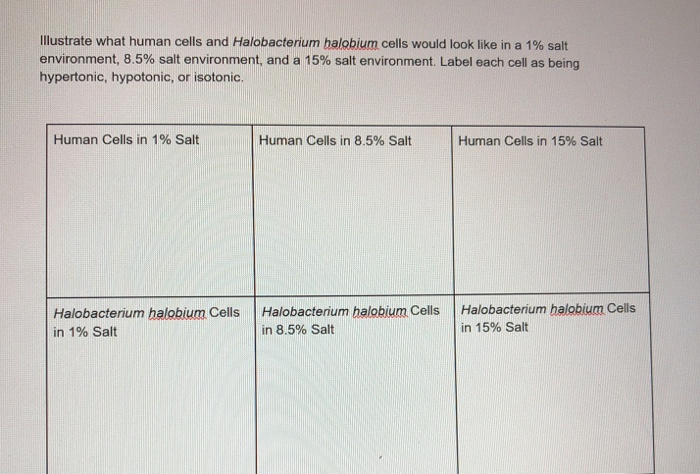 Solved Illustrate what human cells and Halobacterium | Chegg.com