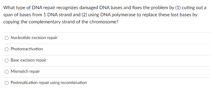 Solved What type of DNA repair recognizes damaged DNA bases | Chegg.com