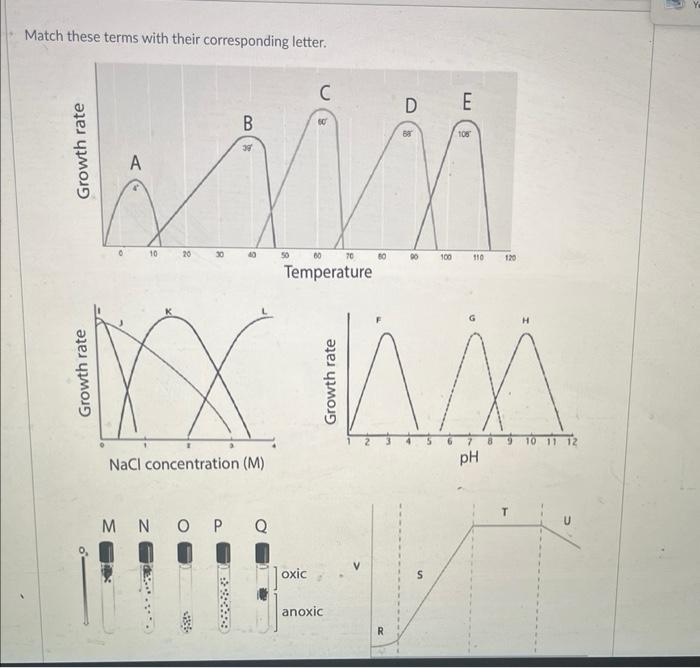 Solved Match these terms with their corresponding | Chegg.com