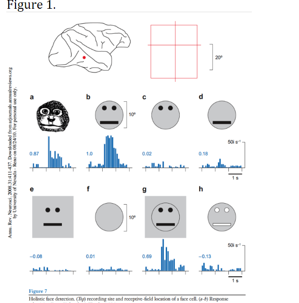 Describe the figure including answers to the | Chegg.com