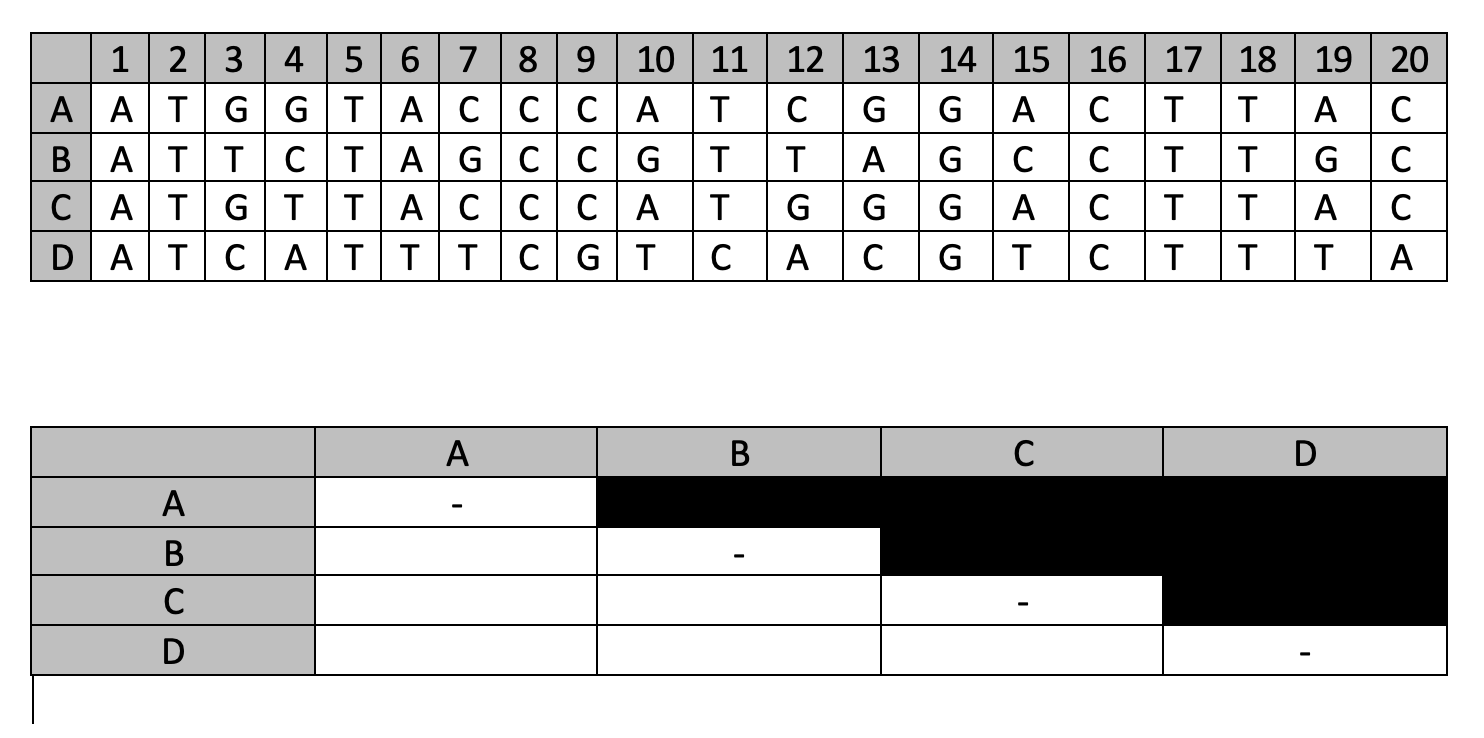 Solved Convert the following character matrix into a | Chegg.com