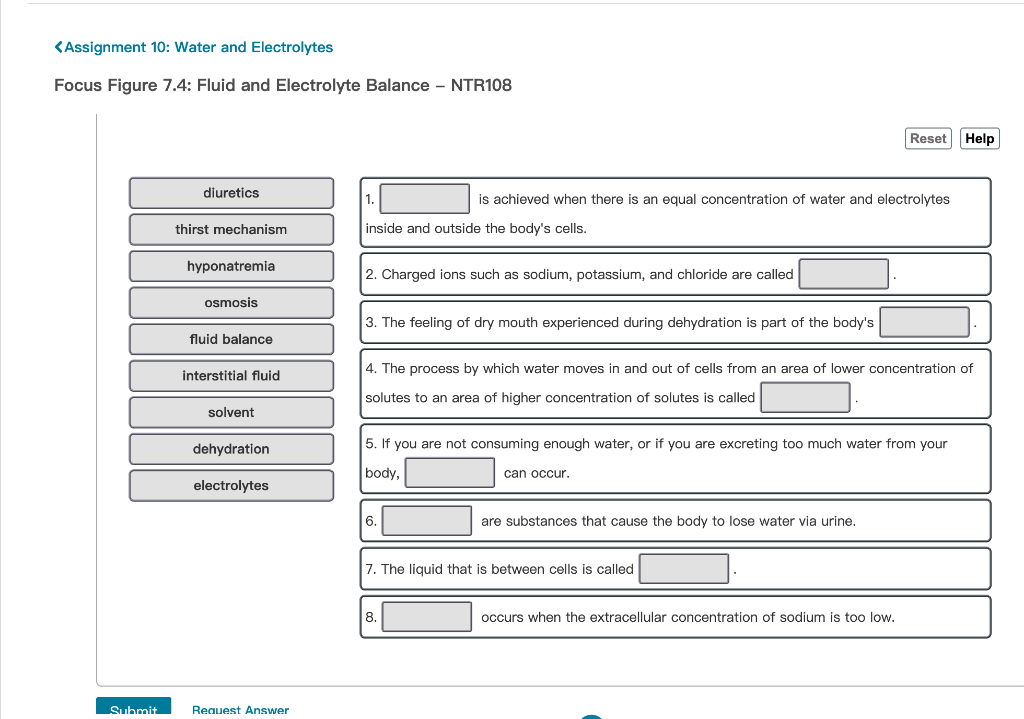 Solved The Terminology of Fluid Balance To understand and | Chegg.com