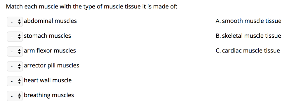 Solved Match each muscle with the type of muscle tissue it | Chegg.com