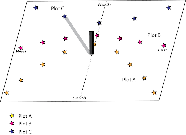 Solved Observing Shadows: At the beginning of class you | Chegg.com