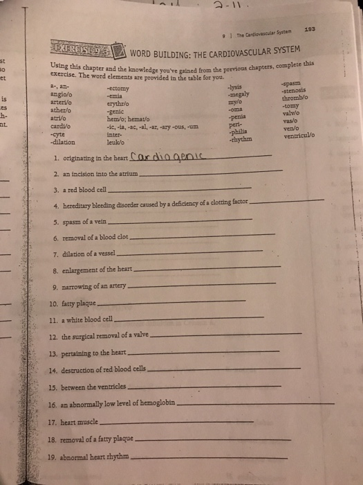 Solved 91 The Cardiovascular Syst 193 WORD BUILDING: THE | Chegg.com