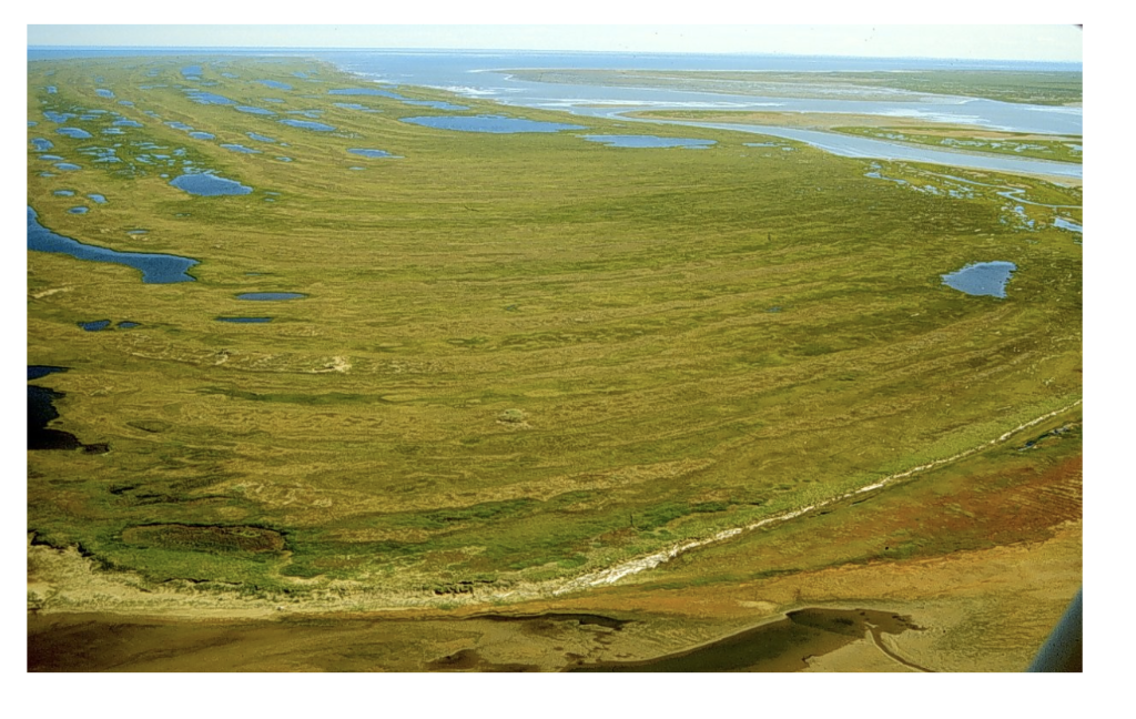 Solved You are attempting to reconstruct local sea level | Chegg.com