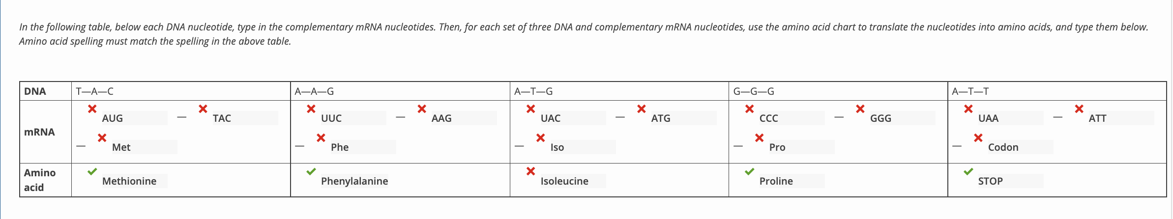 Solved In the following table, below each DNA nucleotide, | Chegg.com