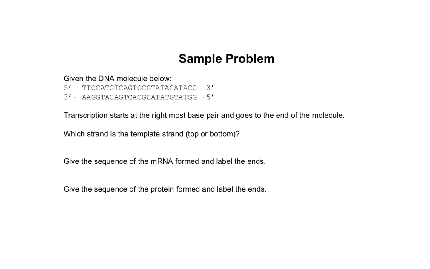 Solved Sample Problem Given the DNA molecule below: 5' - | Chegg.com