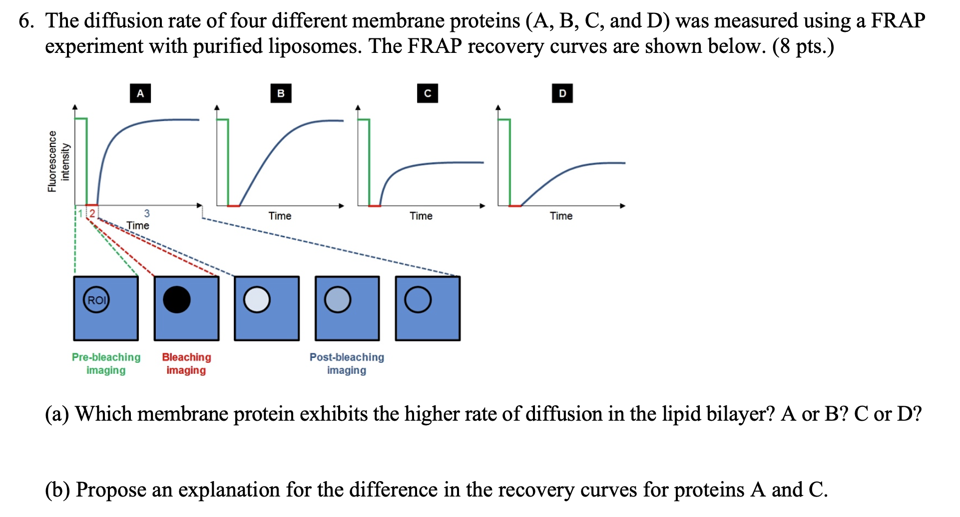 Solved 6. The diffusion rate of four different membrane | Chegg.com