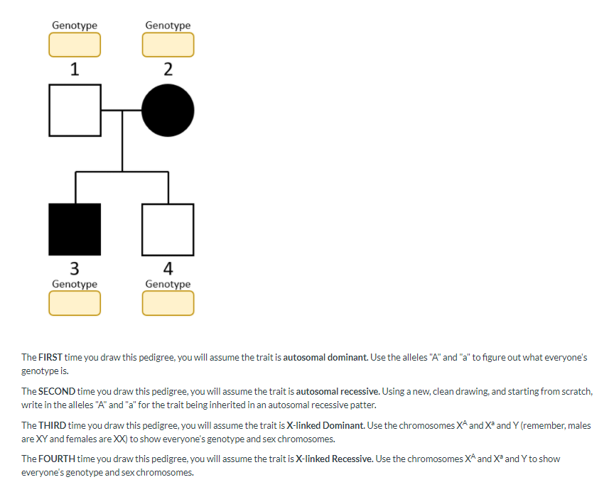 Solved Genotype Genotype 1 2 3 Genotype 4 Genotype The FIRST | Chegg.com