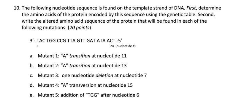 Solved 10. The following nucleotide sequence is found on the | Chegg.com