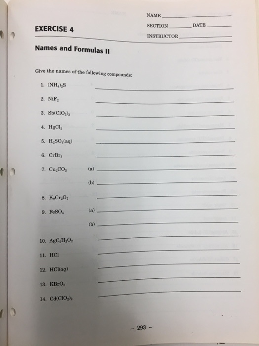 Solved NAME SECTION INSTRUCTOR DATE EXERCISE 4 Names and | Chegg.com