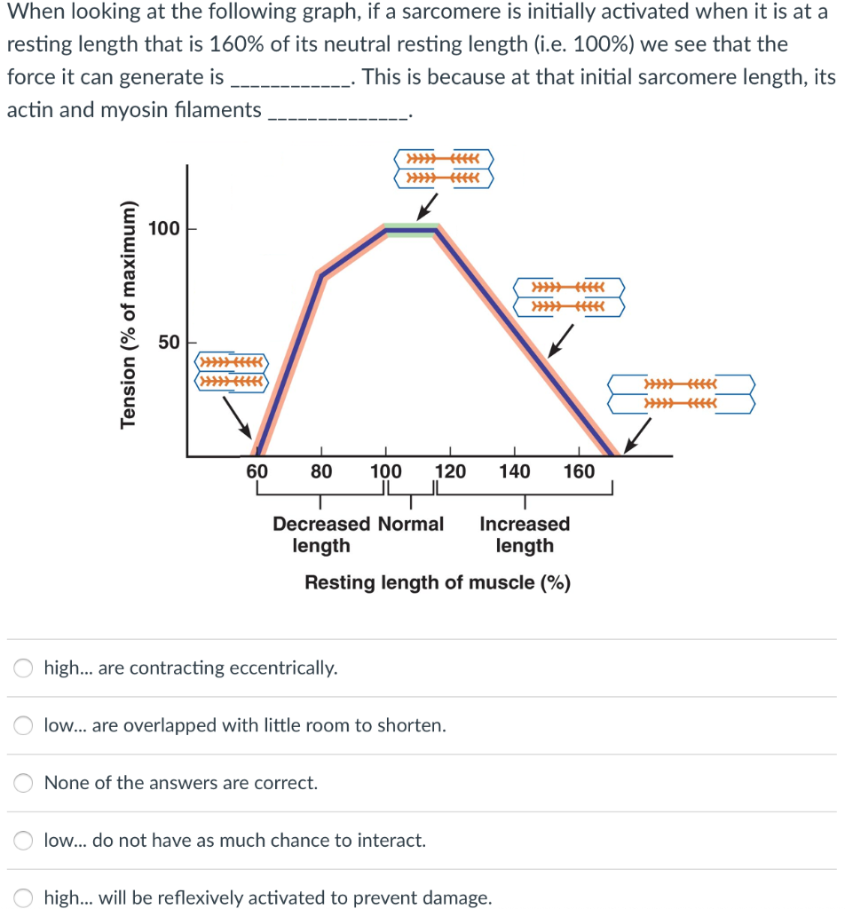 Solved When looking at the following graph, if a sarcomere | Chegg.com