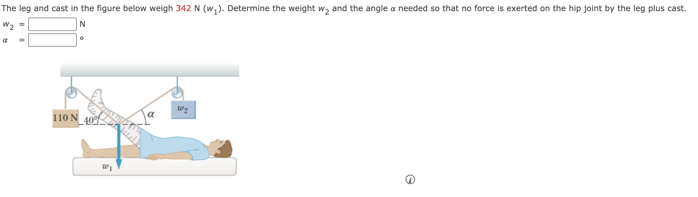 Solved The leg and cast in the figure below weigh 342 N(w1). | Chegg.com